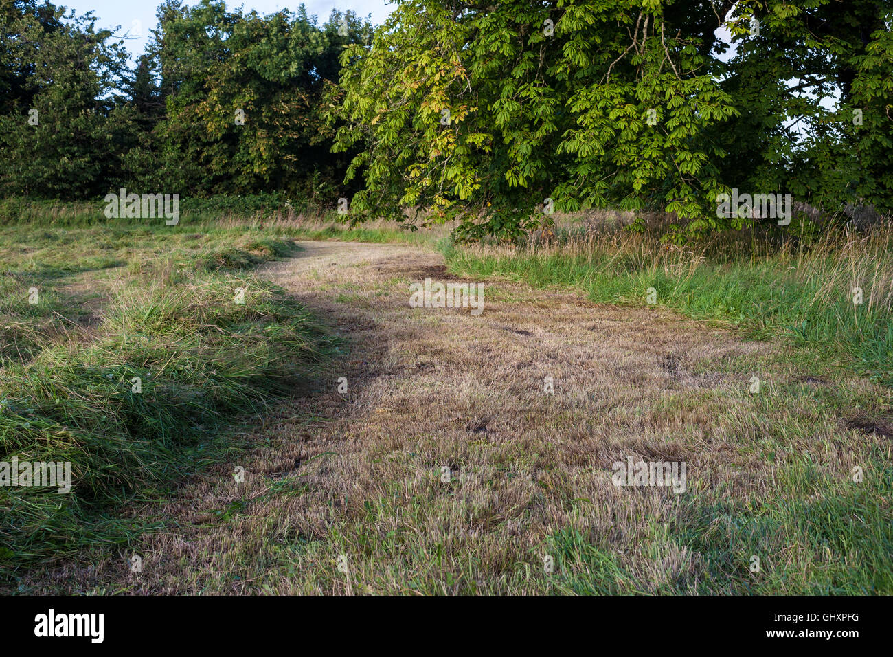 Silage making hi-res stock photography and images - Alamy