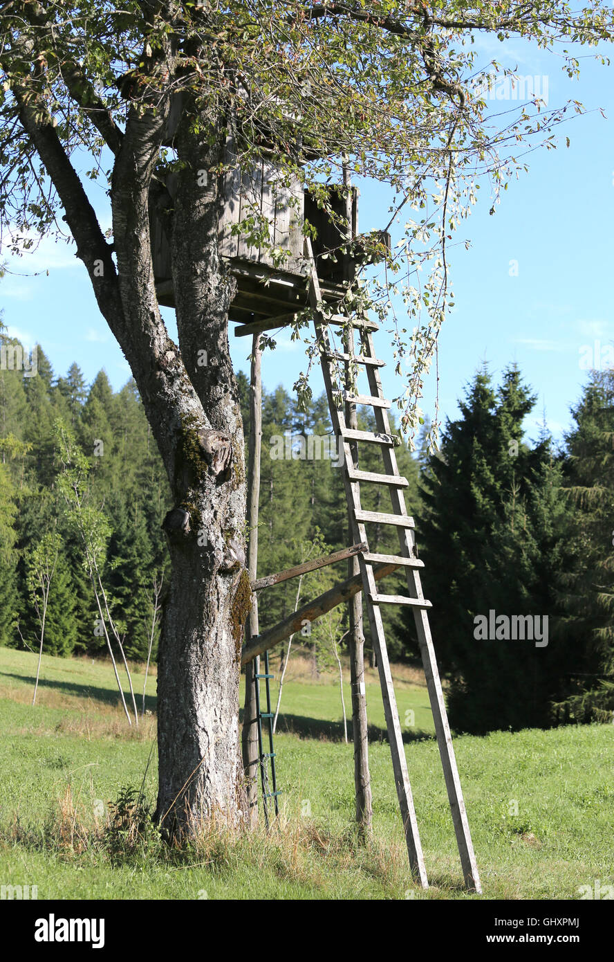 Hunting over a hi-res stock photography and images - Alamy