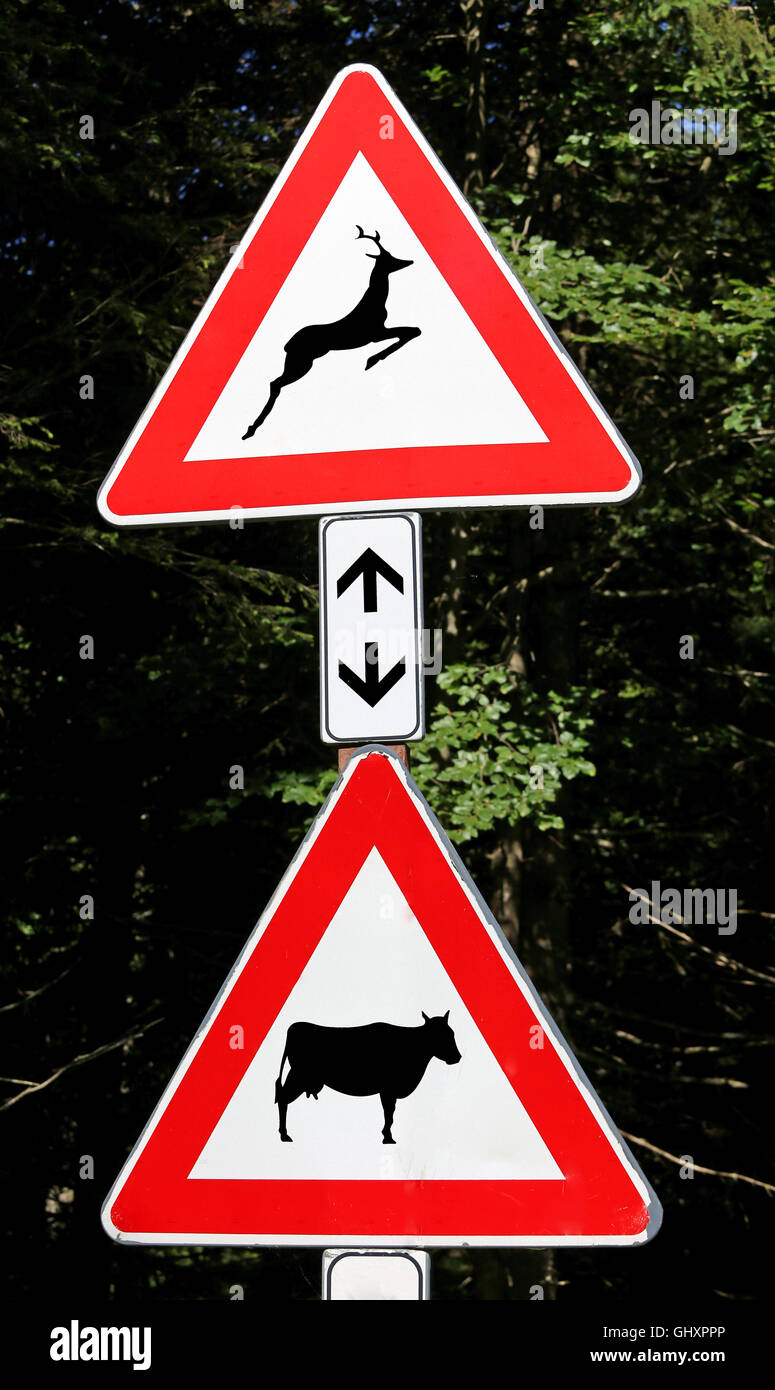 road signs near the wood danger crossing cow and deer Stock Photo - Alamy