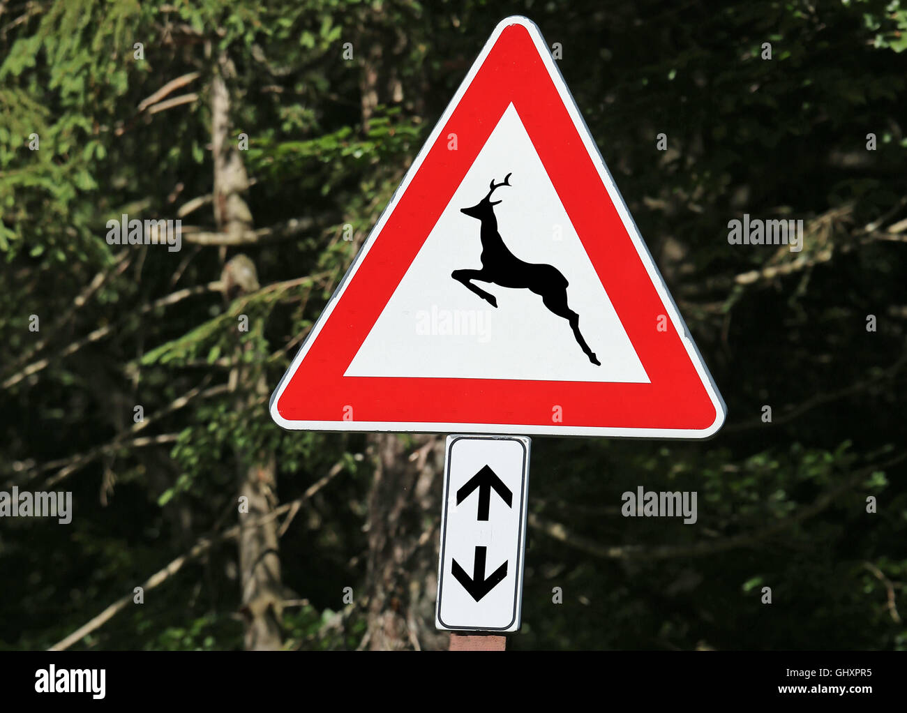 road sign caution crossing animals deer Stock Photo - Alamy