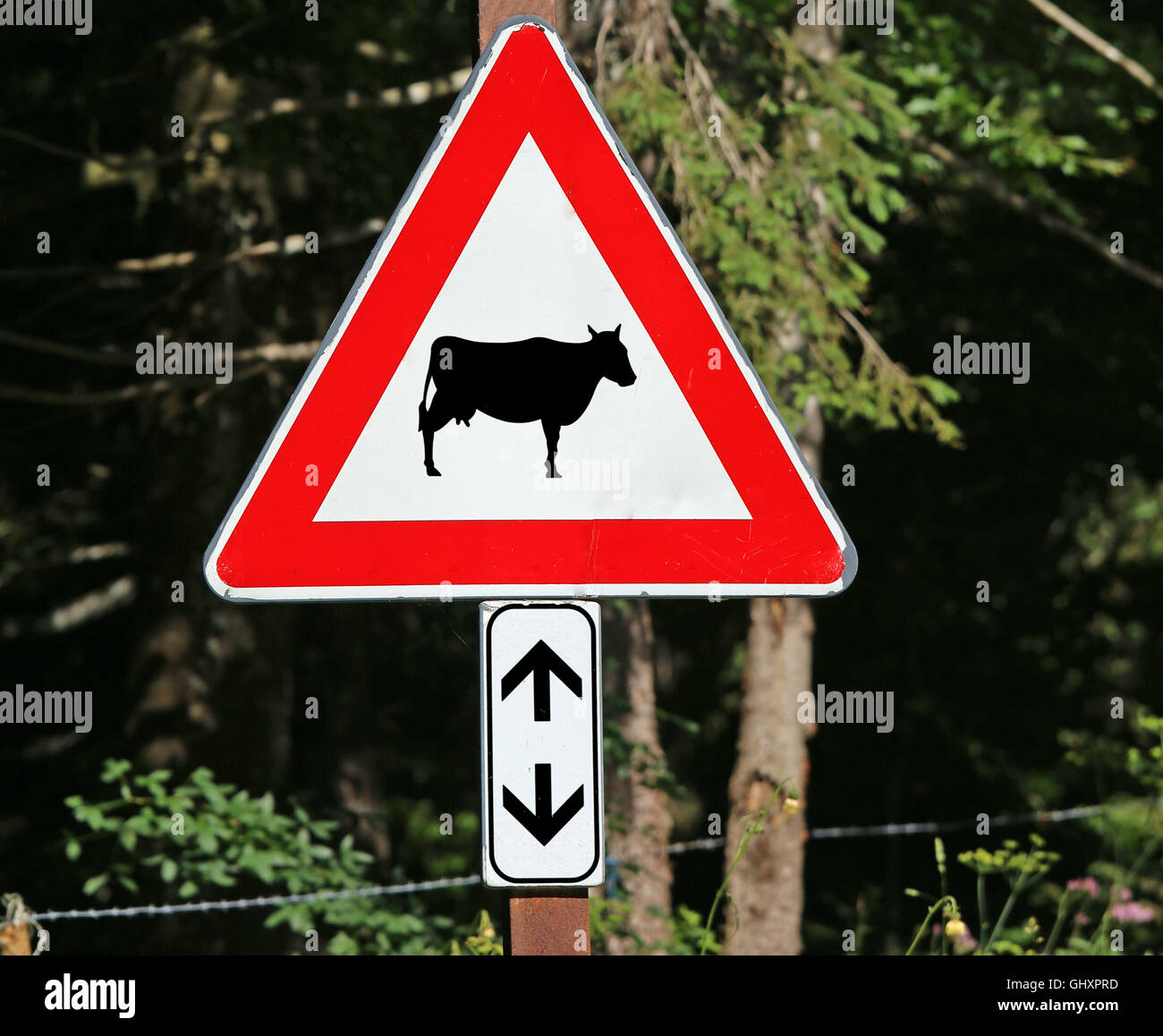 Animal cow road sign hi-res stock photography and images - Alamy