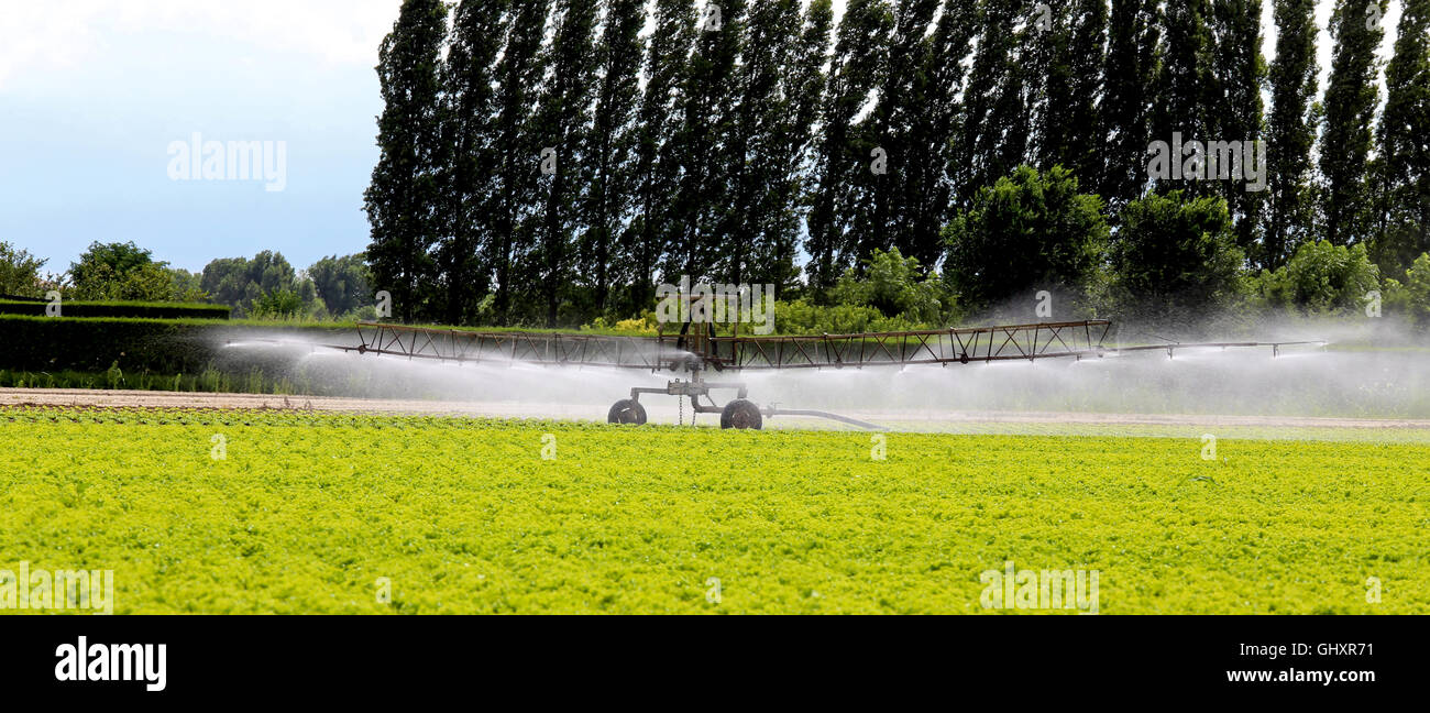 Automatic irrigation system hi-res stock photography and images - Alamy