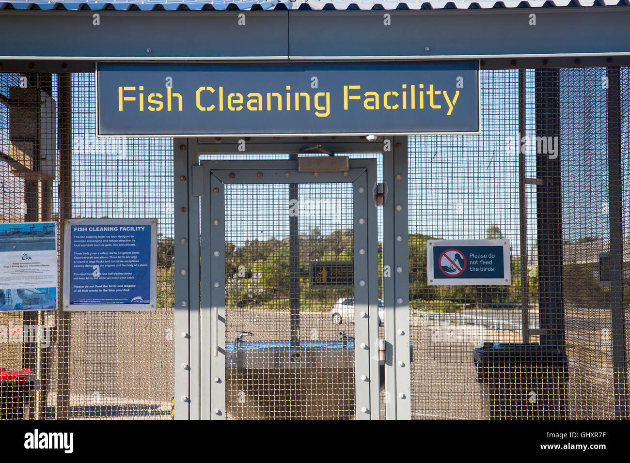 Fish cleaning hi-res stock photography and images - Alamy