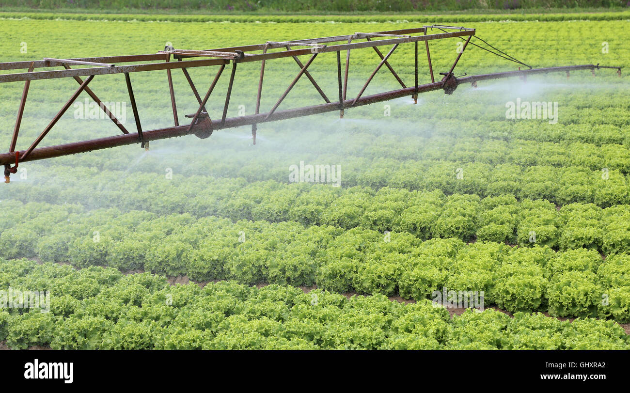 Automatic irrigation system hi-res stock photography and images - Alamy