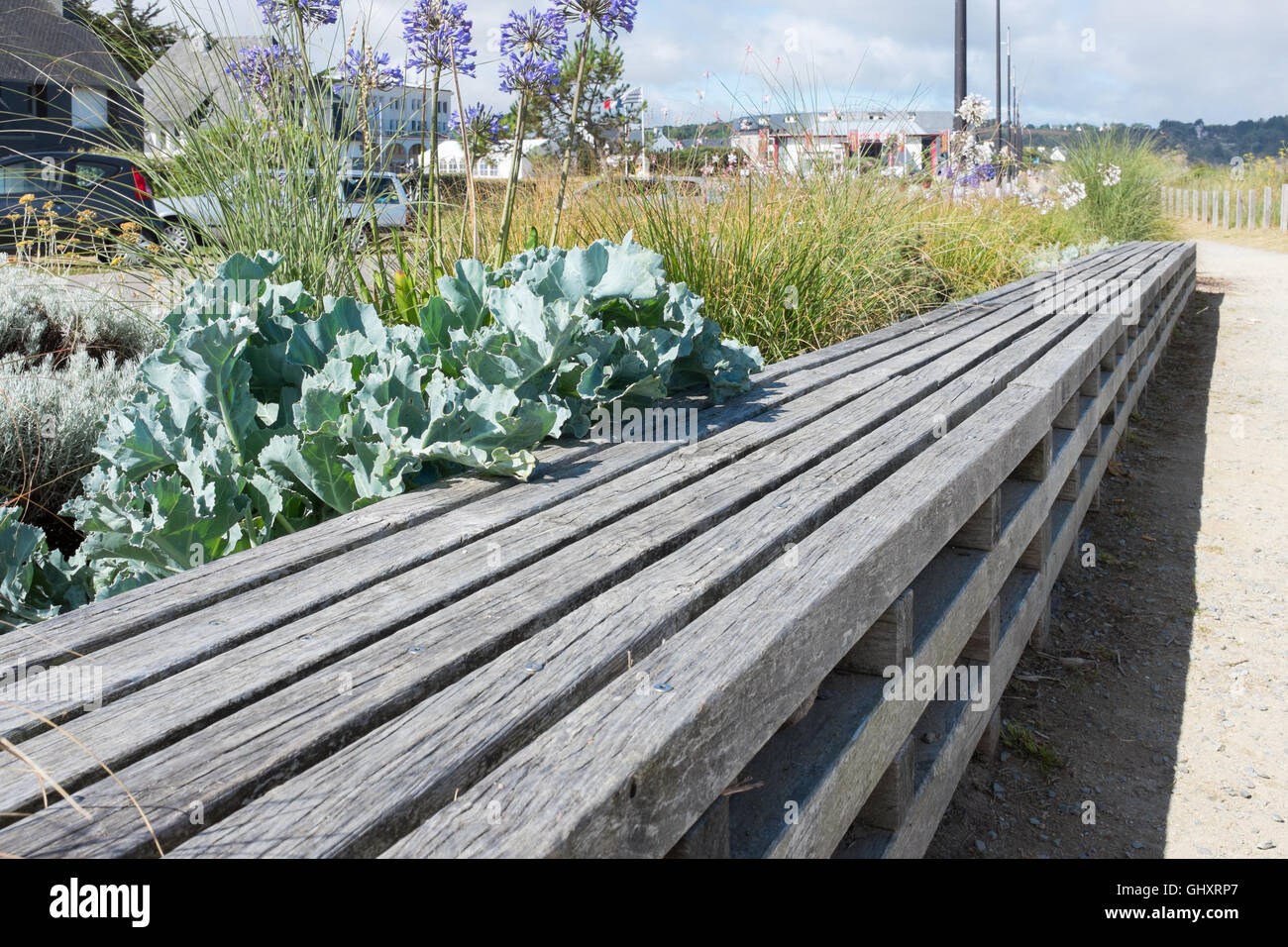 Les pins hi-res stock photography and images - Alamy