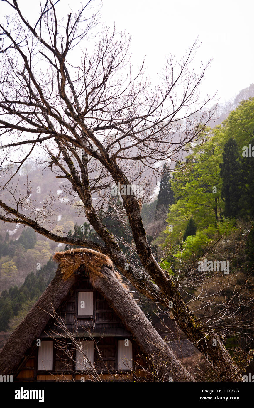 Detail of a thatched roof at Gokayama Historic Village in Toyama, Japan ...