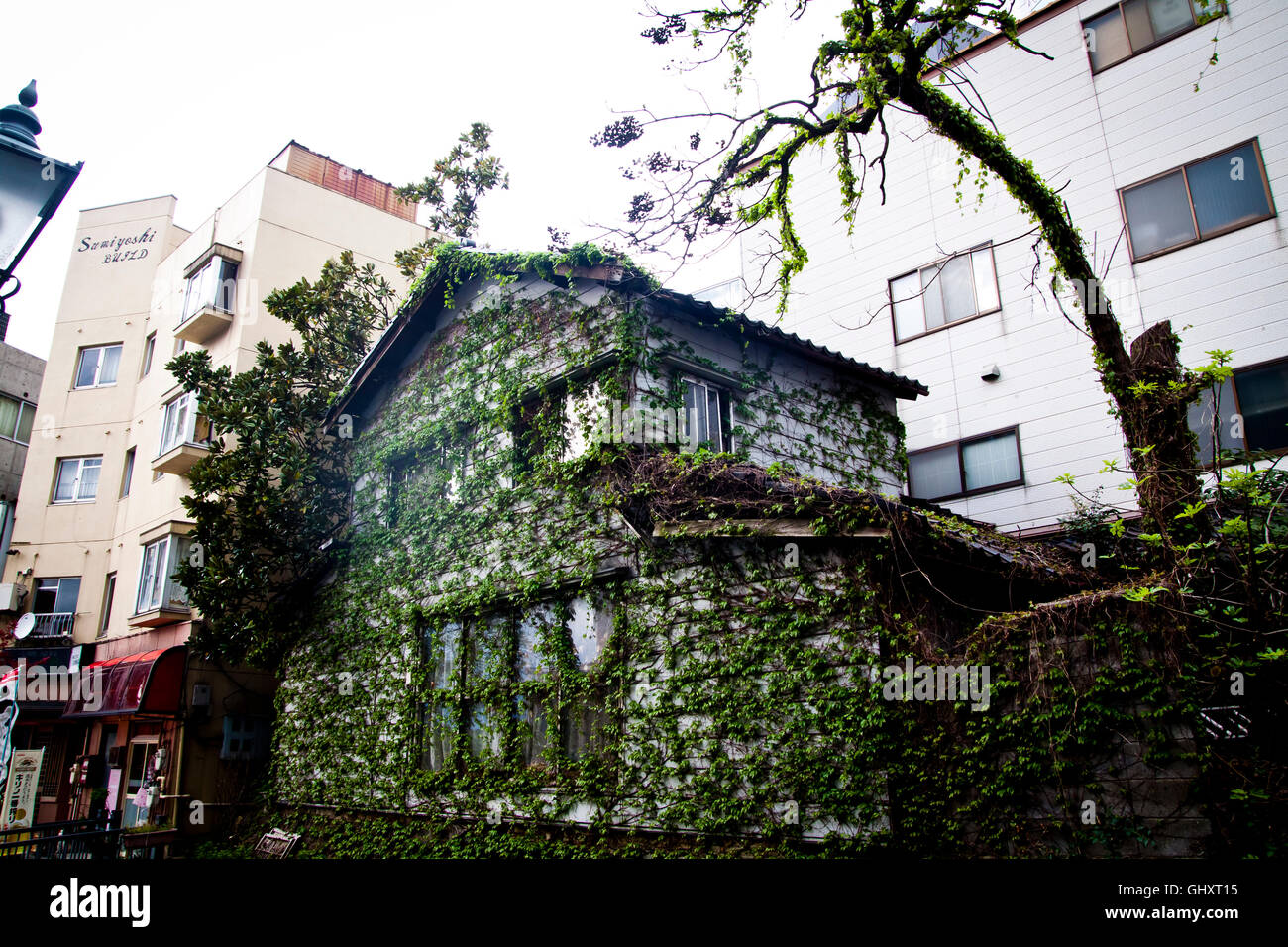 An old house covered with ivy in Kanazawa, Japan Stock Photo - Alamy