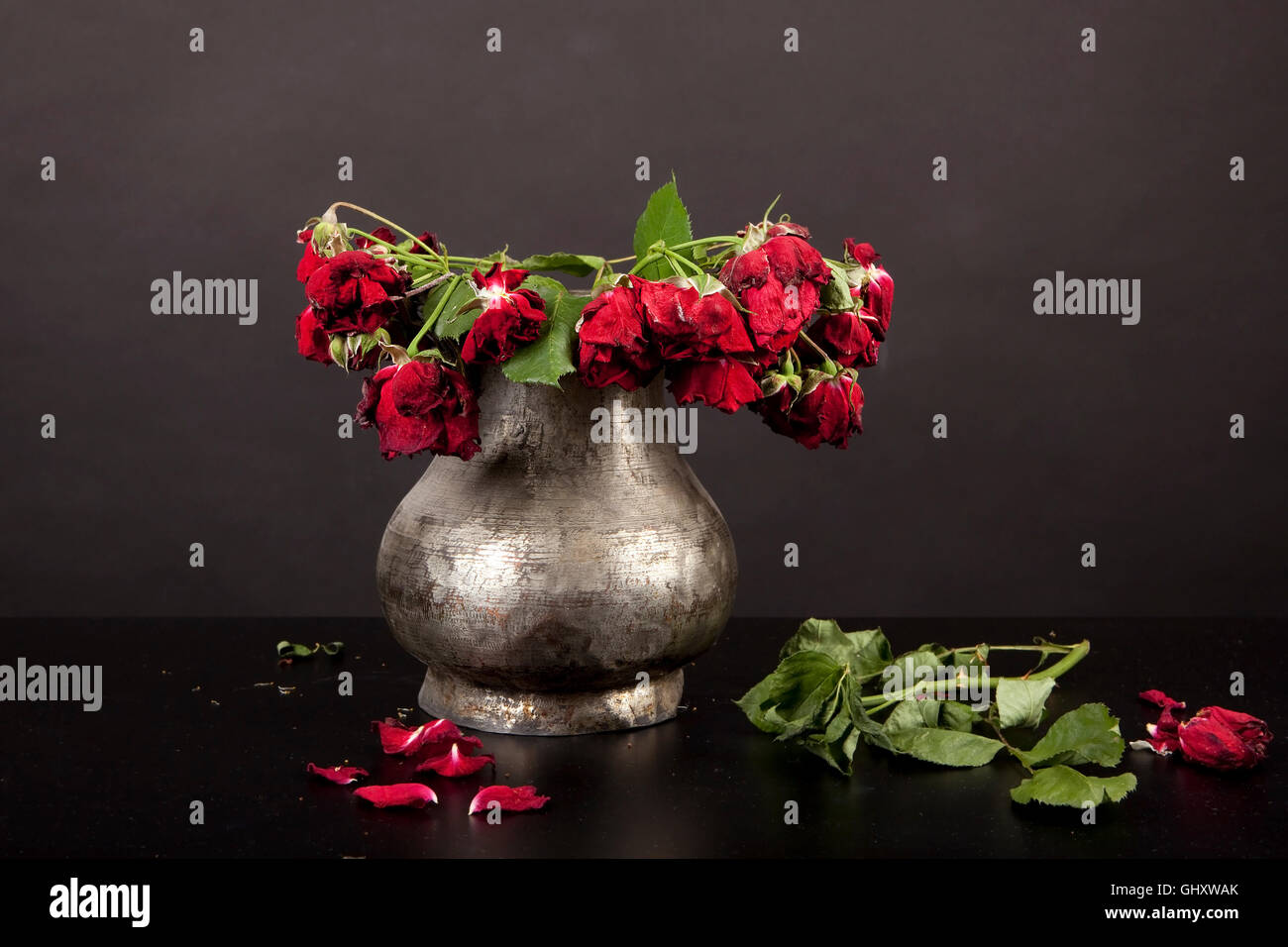 bouquet of dead red roses in pewter vase on wooden table with black ...