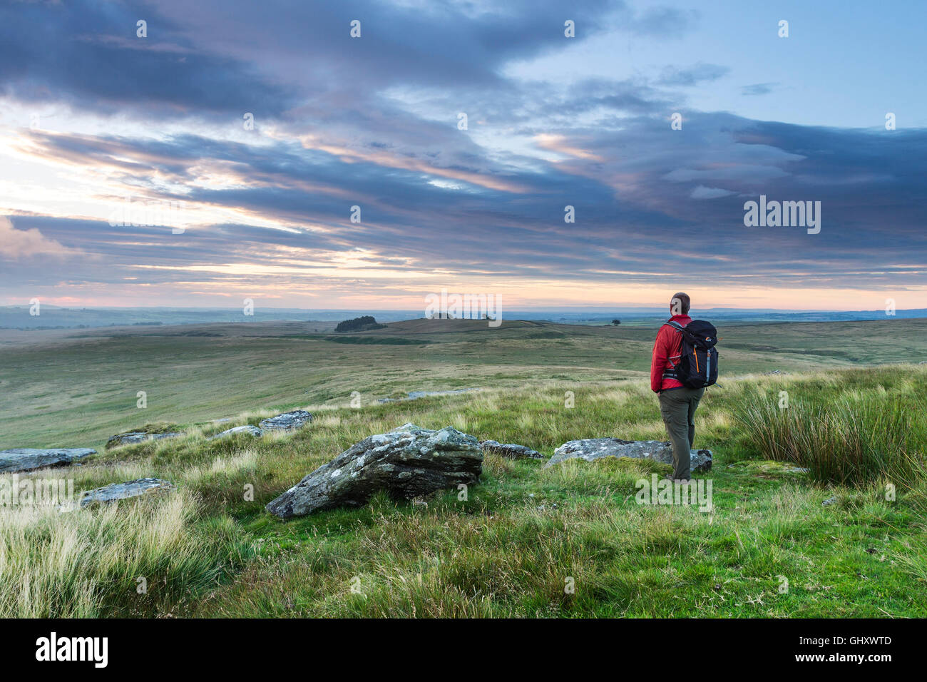 Walker Enjoying the View Over Cotherstone Moor Towards Loups's Hill ...