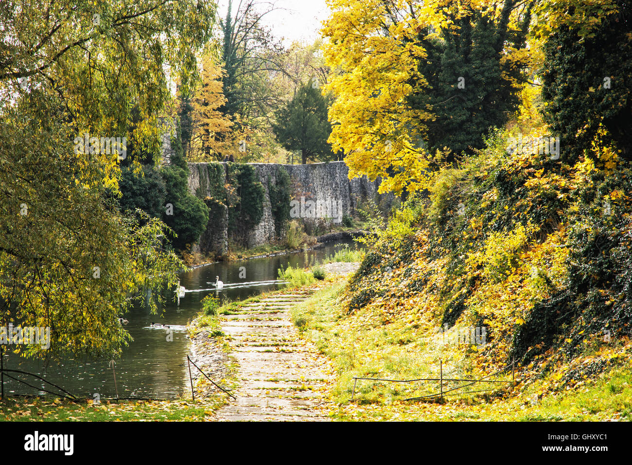 Moat with water, swans and ducks in autumn time. Seasonal natural scene ...