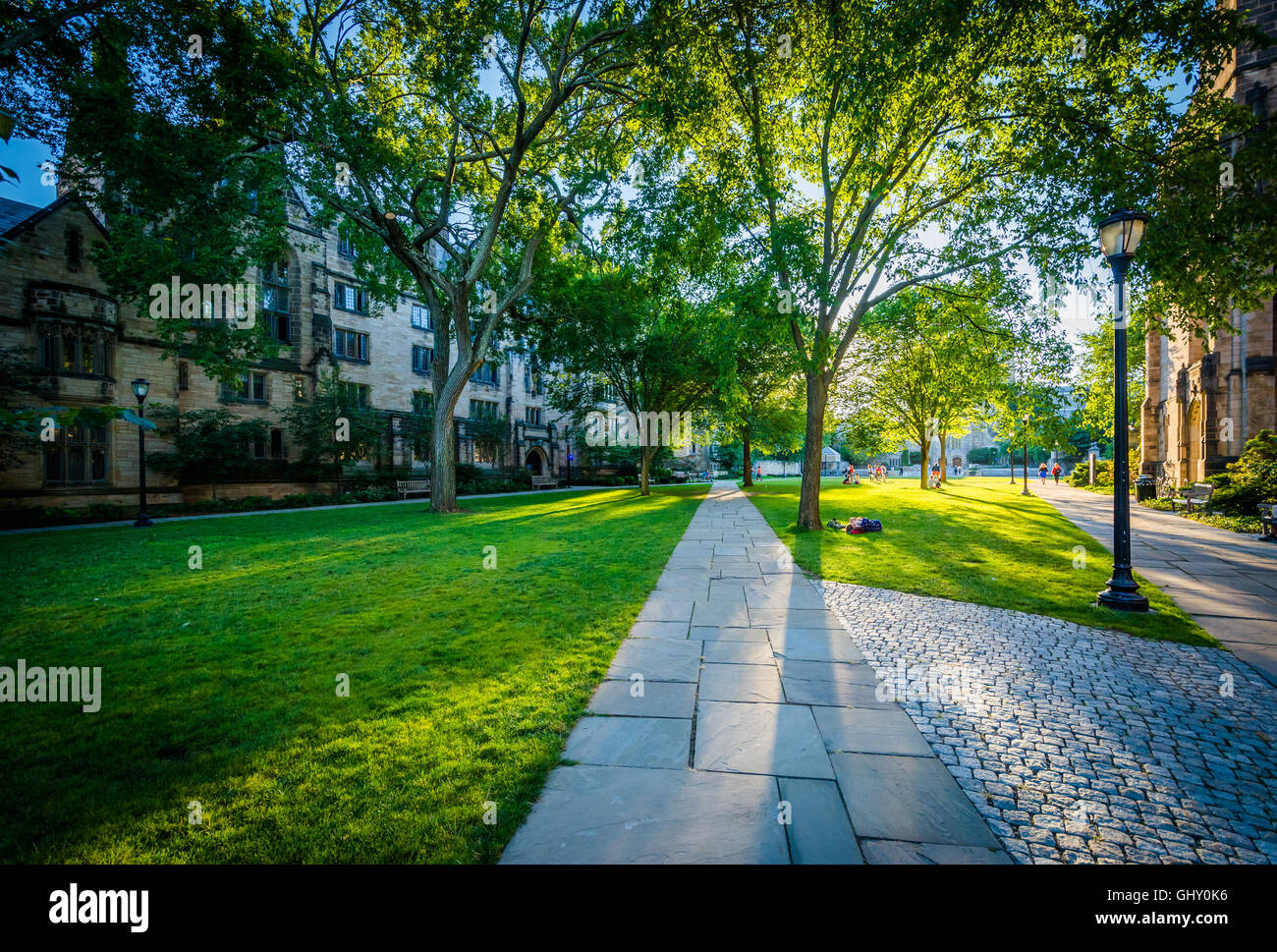Walkway and buildings on the campus of Yale University, in New Haven ...