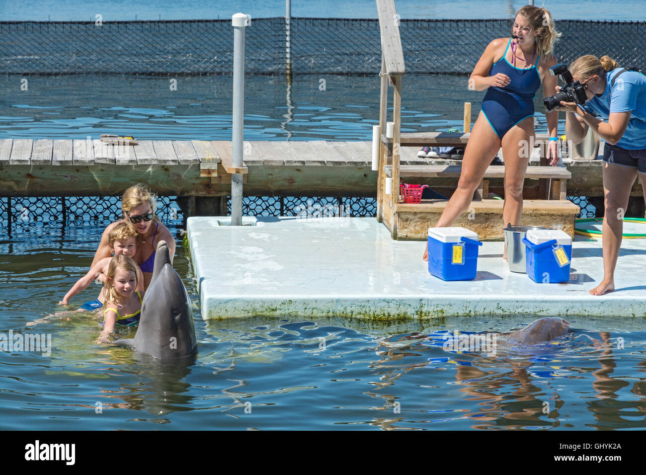 Florida keys key dolphin research hi-res stock photography and images ...