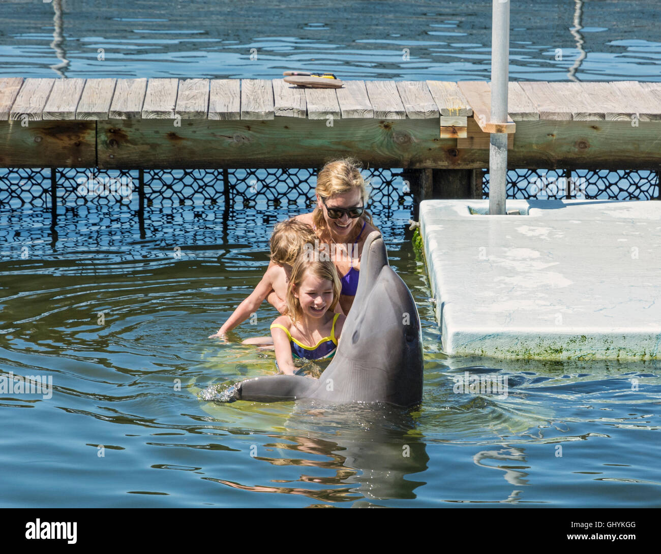 Two common dolphins hi-res stock photography and images - Alamy