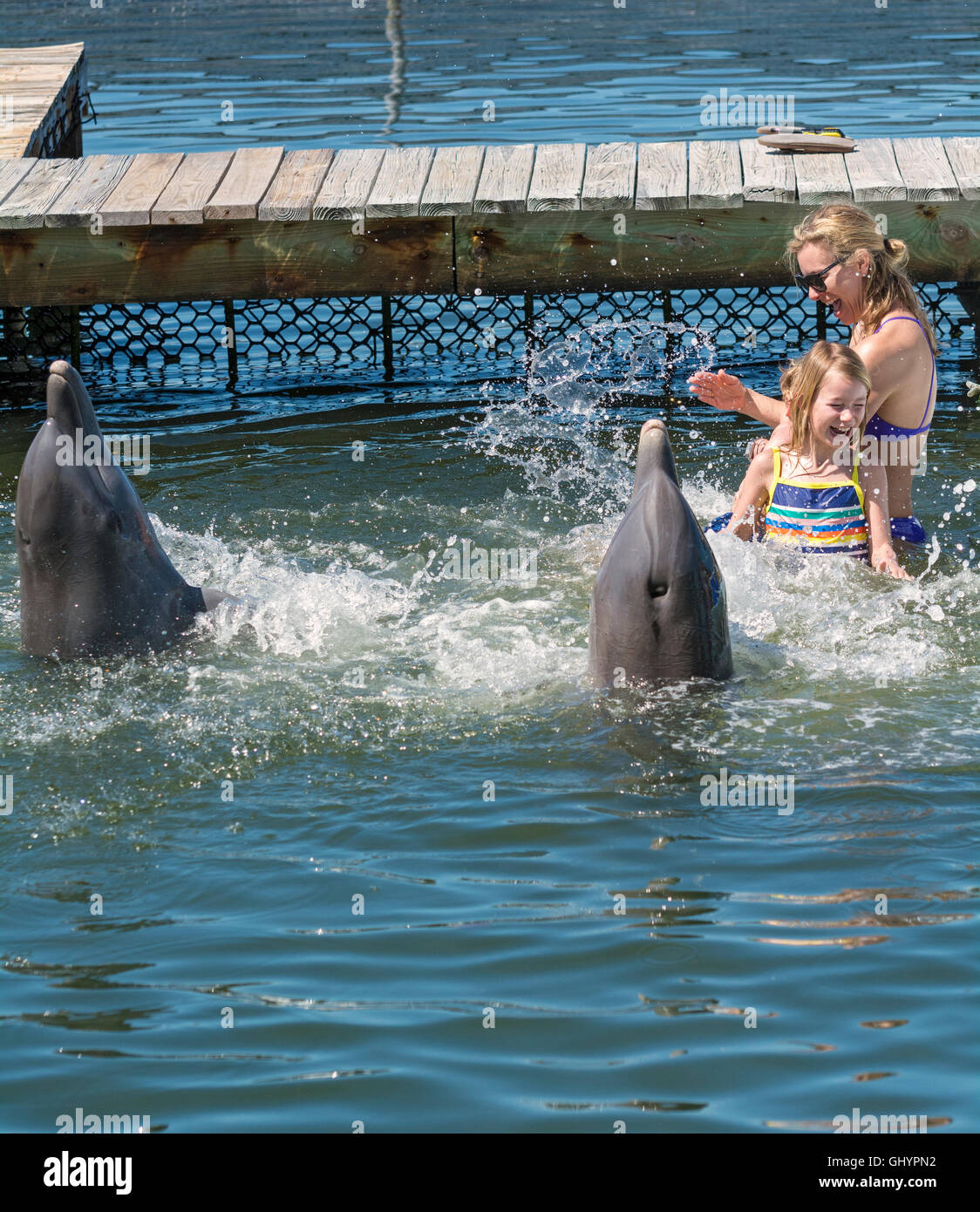 Dolphin research centre hi-res stock photography and images - Alamy