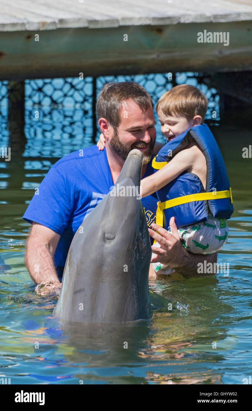 Man with dolphin hi-res stock photography and images - Alamy