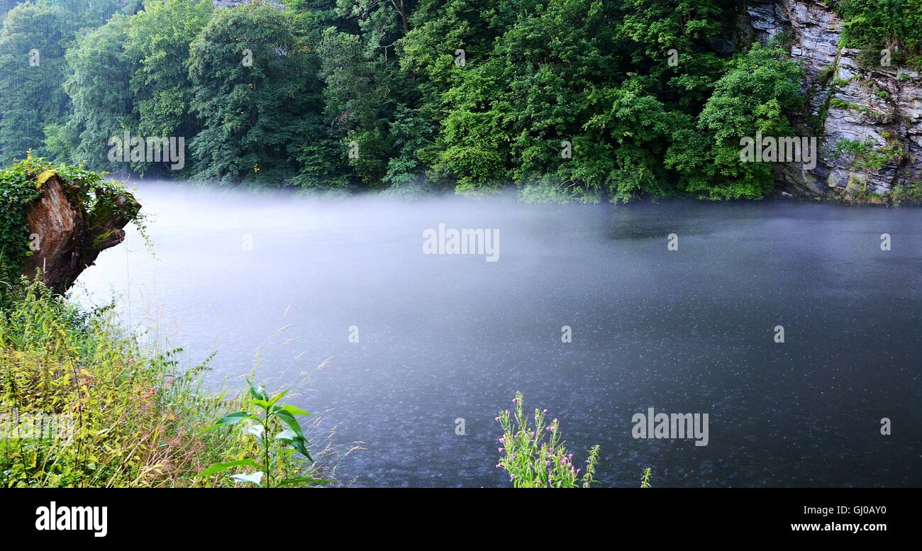 Misty forest during the rain hi-res stock photography and images - Alamy