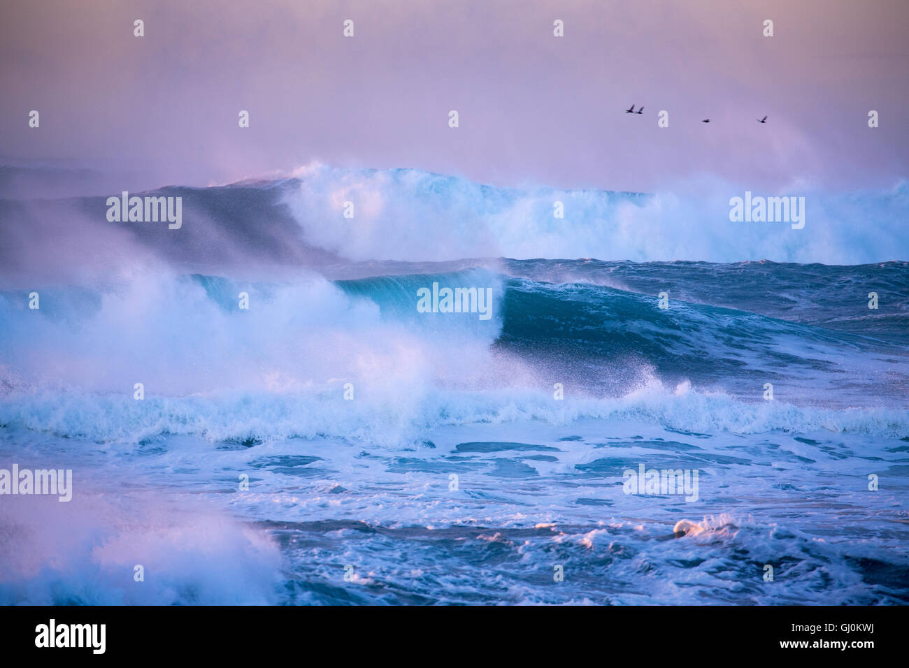 waves on the Reykjanes Peninsula, Iceland Stock Photo - Alamy