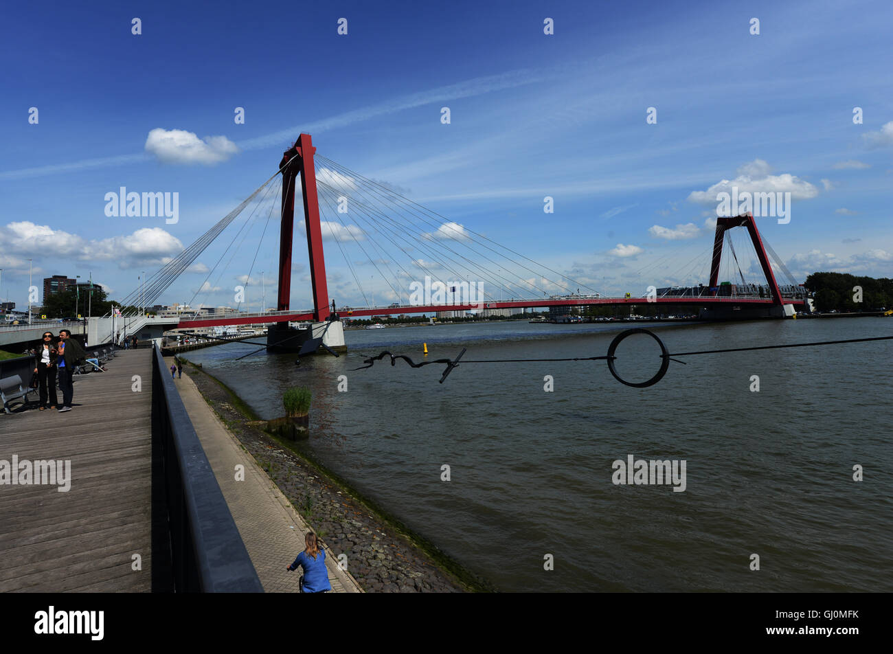 The beautiful Willems bridge in Rotterdam Stock Photo - Alamy
