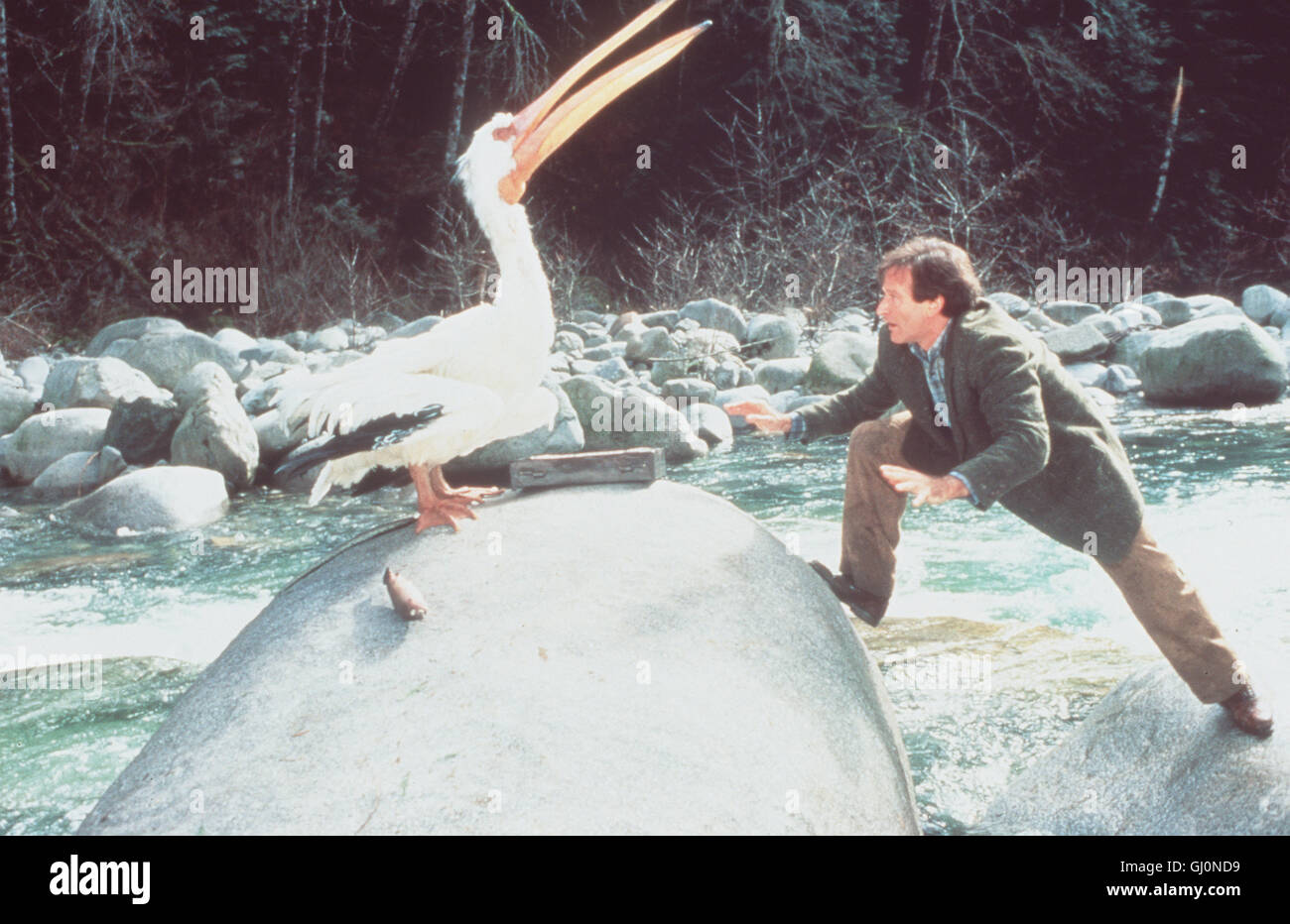 JUMANJI- Durch das geheimnisvolle Brettspiel "Jumanji" wurde Alan ...