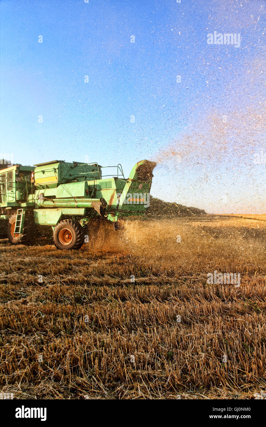 Combine harvester machine tractor in agriculture field.Back view Stock ...
