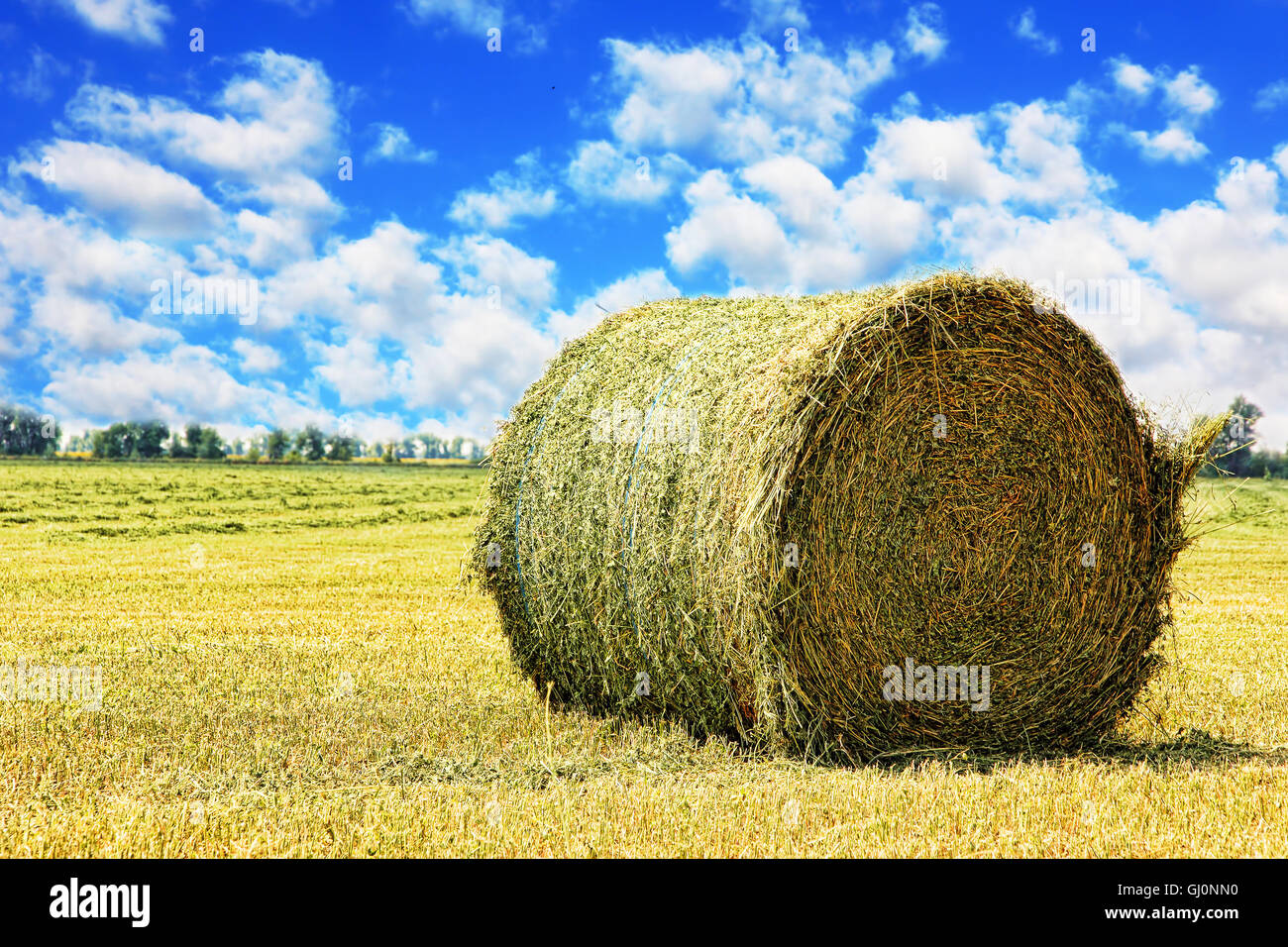 Closeup bale hi-res stock photography and images - Alamy