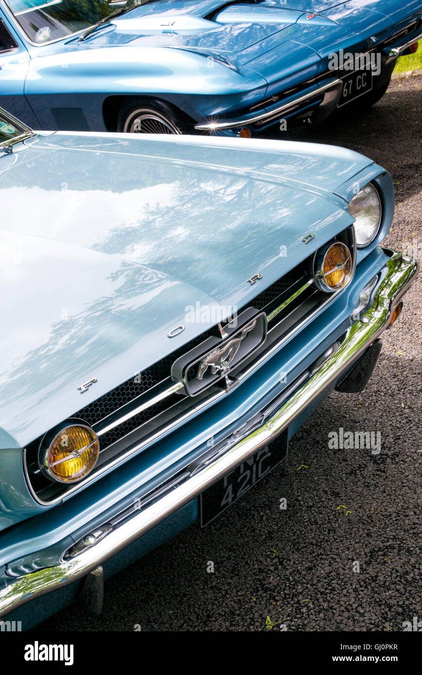 Ford mustang front grille hi-res stock photography and images - Alamy