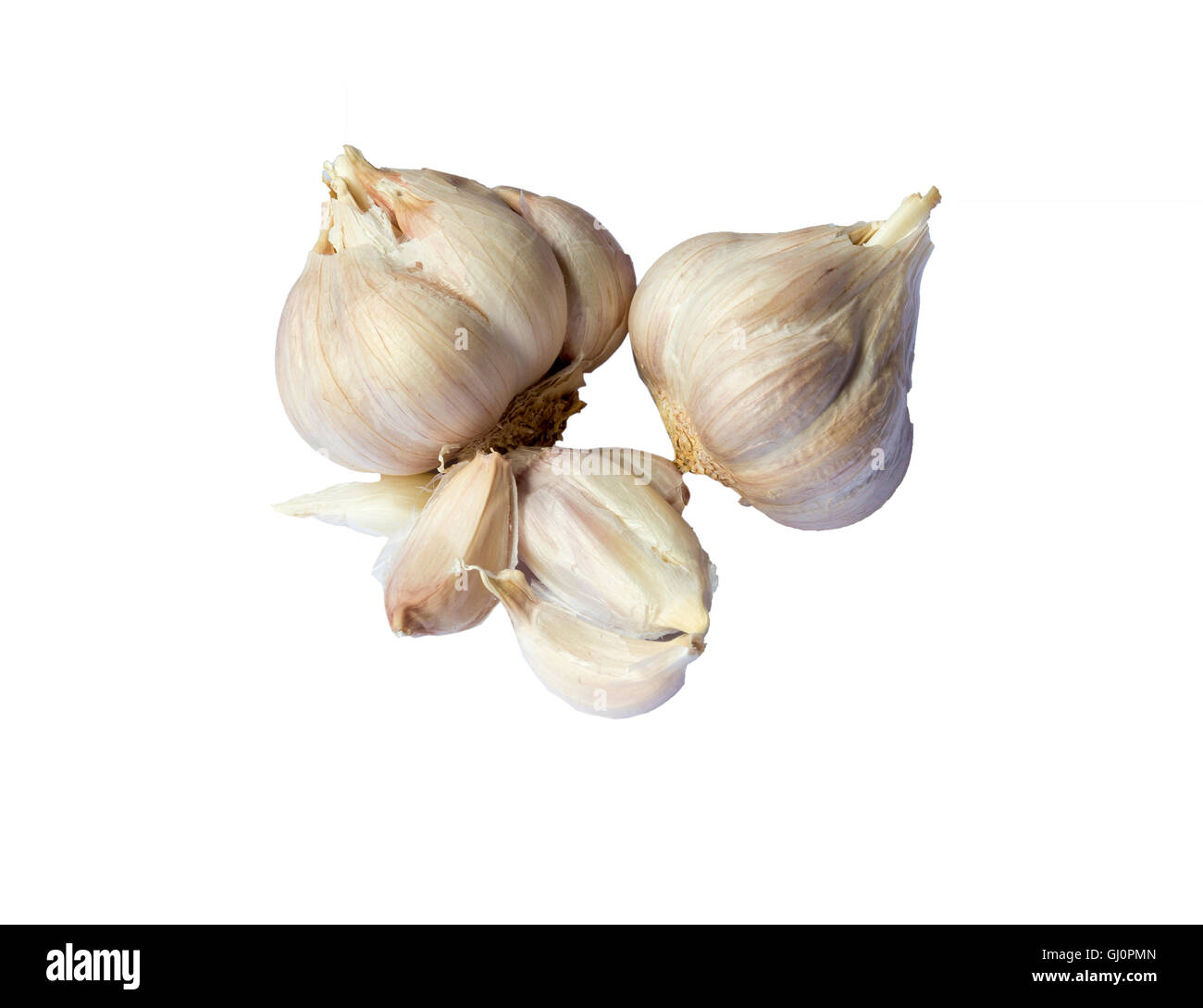 fresh garlics isolated on white background Stock Photo - Alamy