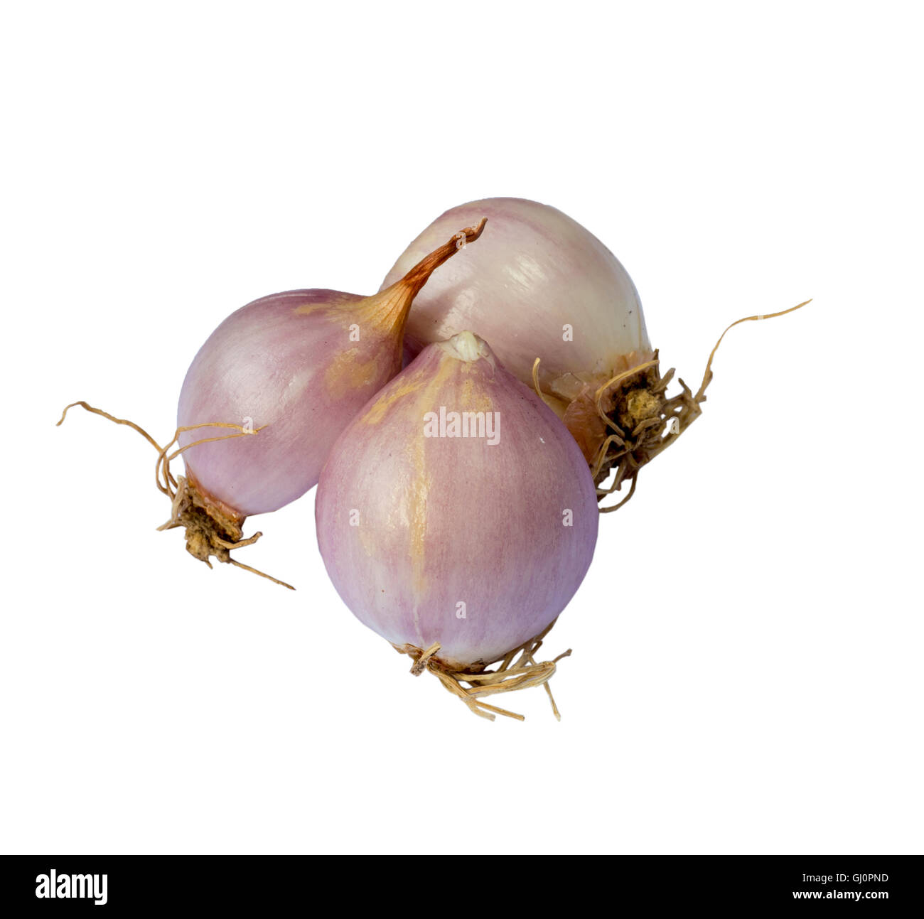 shallots isolated on white background Stock Photo - Alamy