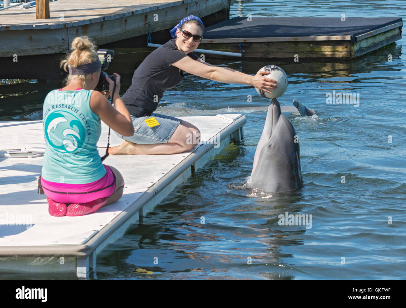Florida Keys, Grassy Key, Dolphin Research Center, female visitor ...