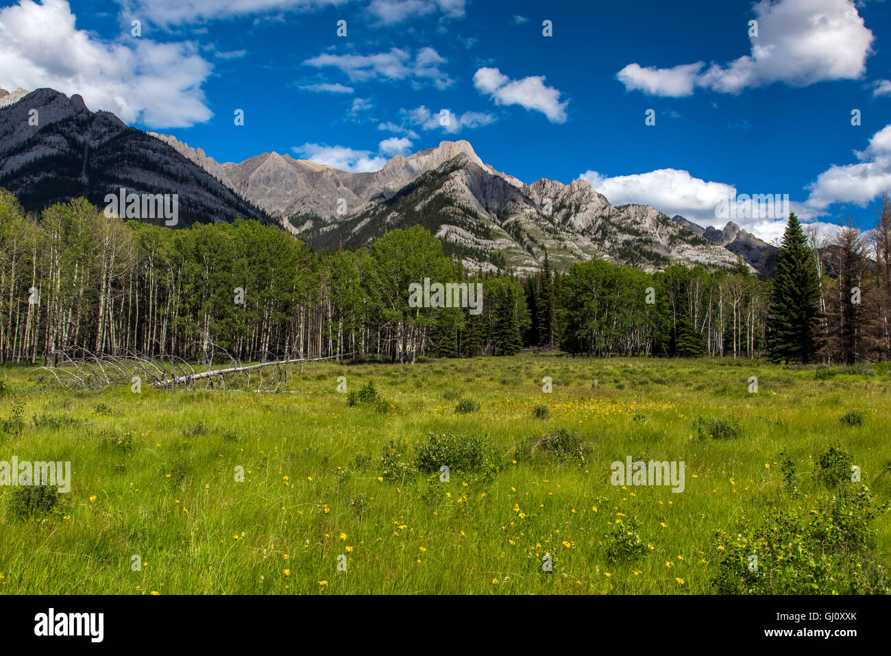Canada mountain banff hi-res stock photography and images - Alamy