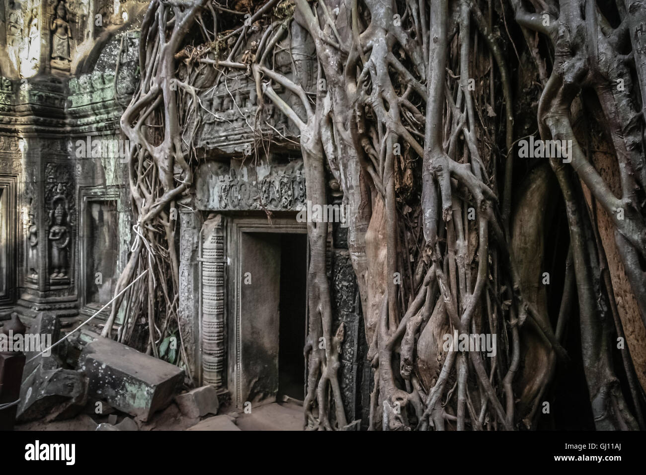 Huge tree engulfing an entrance to one of the temples in Angkor Wat ...