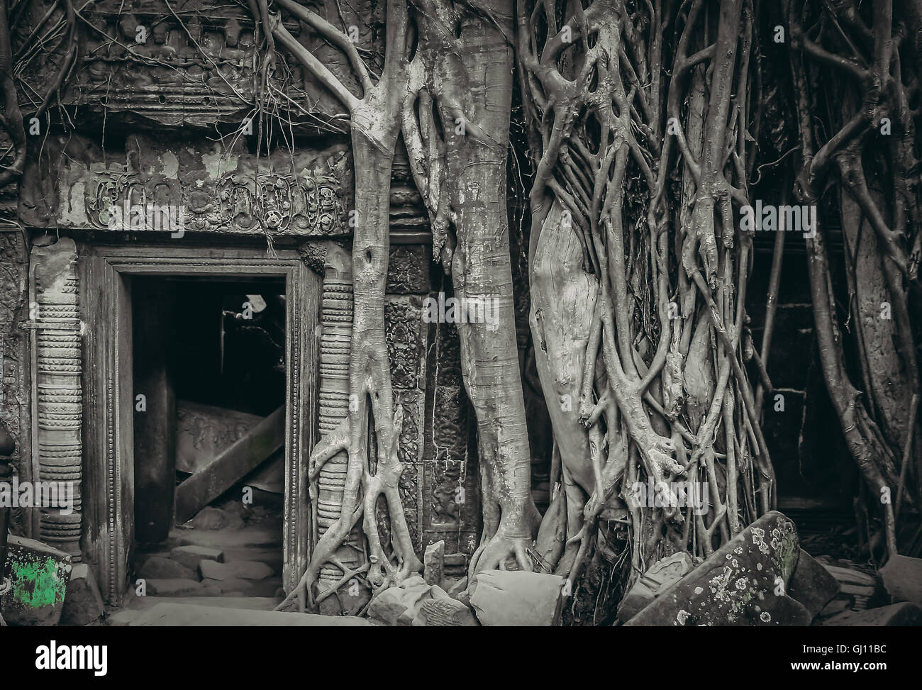 Huge tree engulfing an entrance to one of the temples in Angkor Wat ...