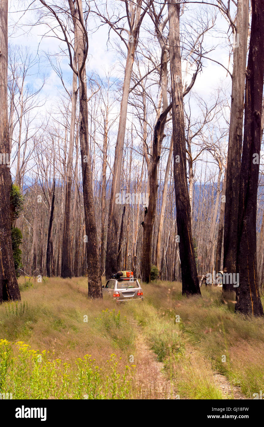 Victorian high country 4wd track hi-res stock photography and images ...