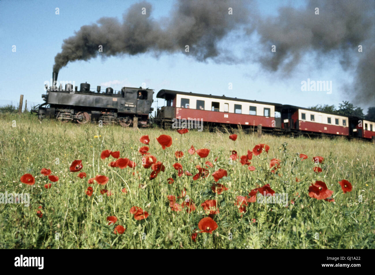 Old mallet steam locomotive hi-res stock photography and images - Alamy