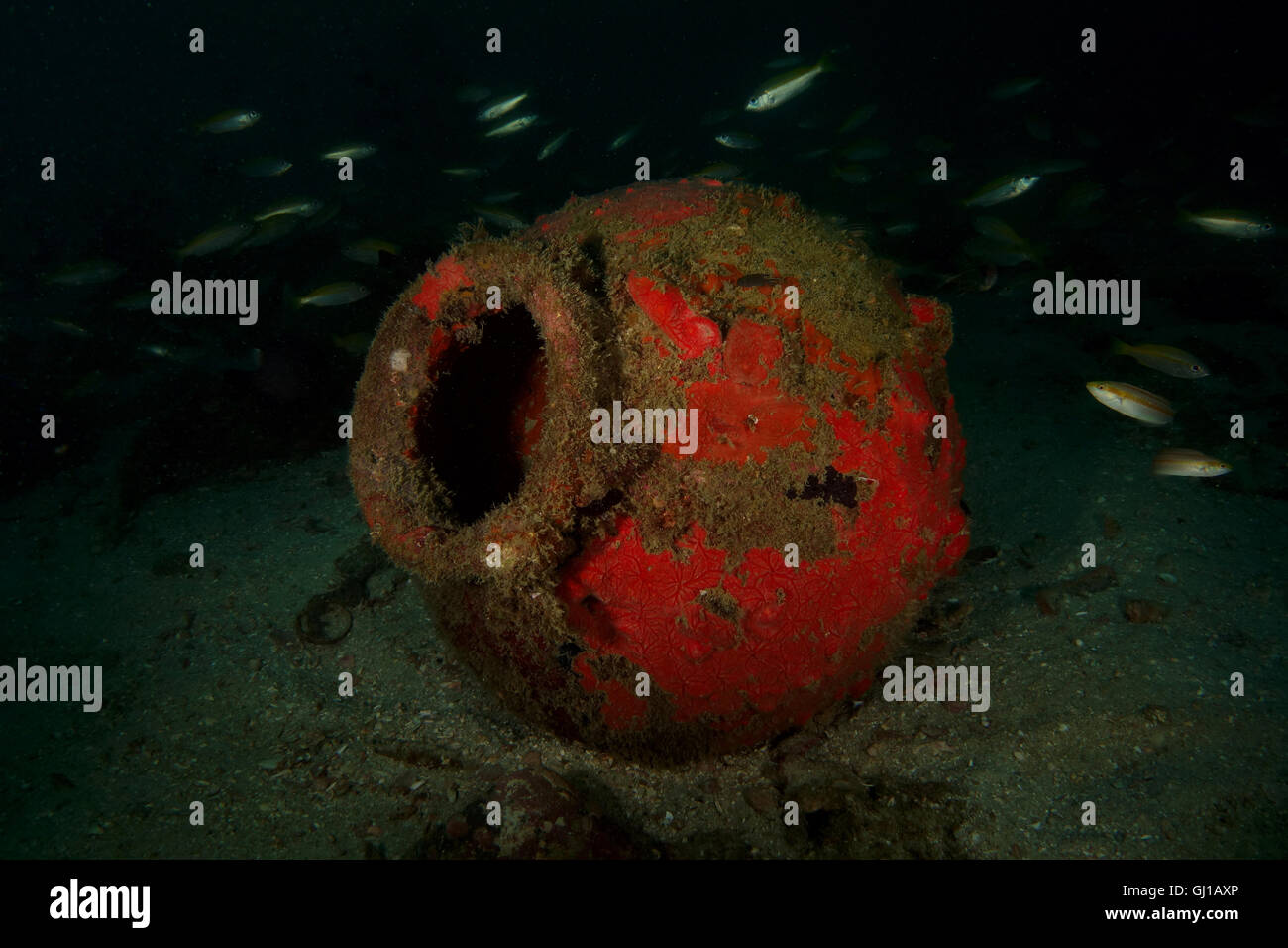 Underwater wreckage hi-res stock photography and images - Alamy