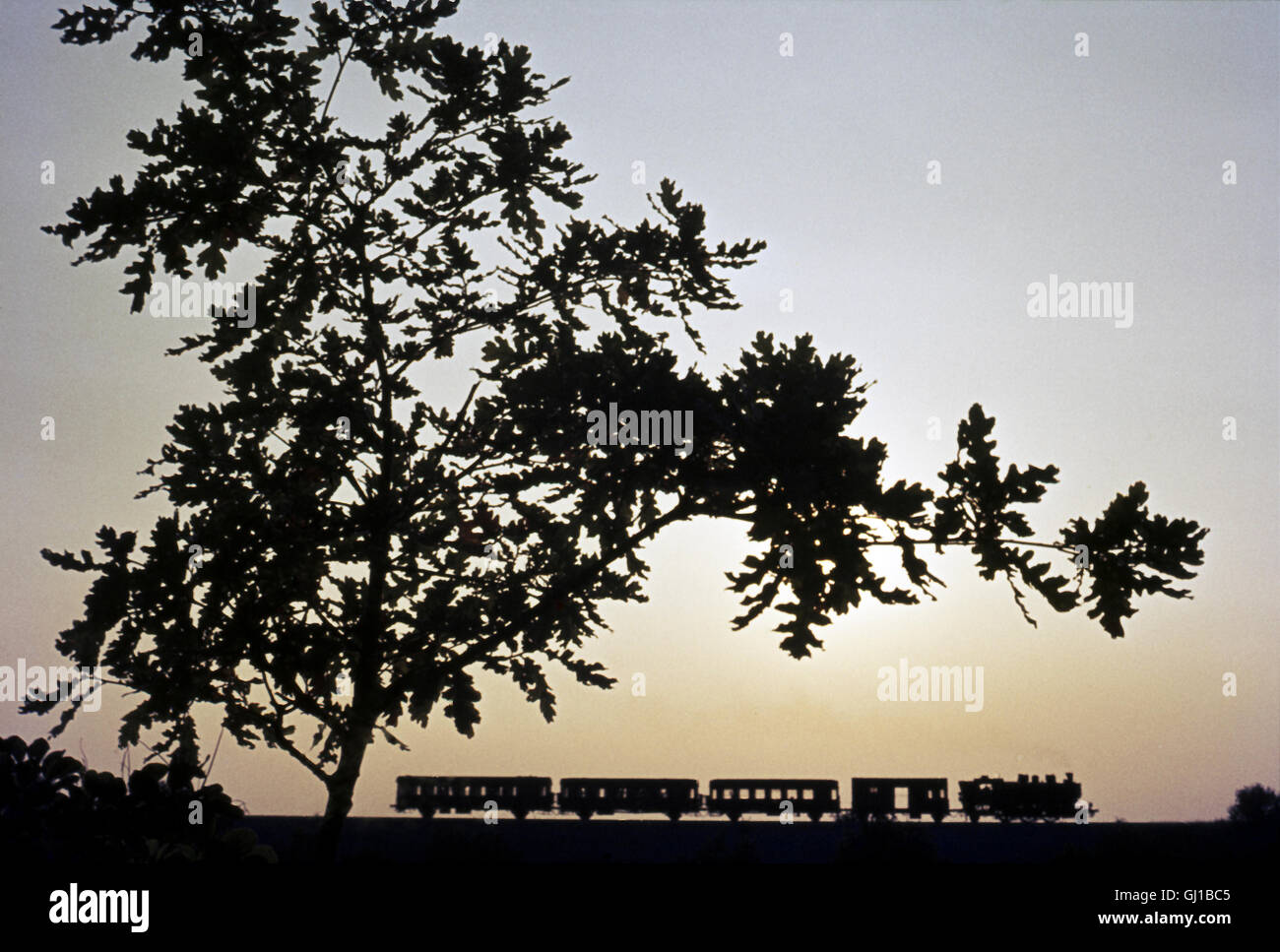 Hungarian-designed, a Yugoslav State Railways Class 17 2-6-2T heads a ...