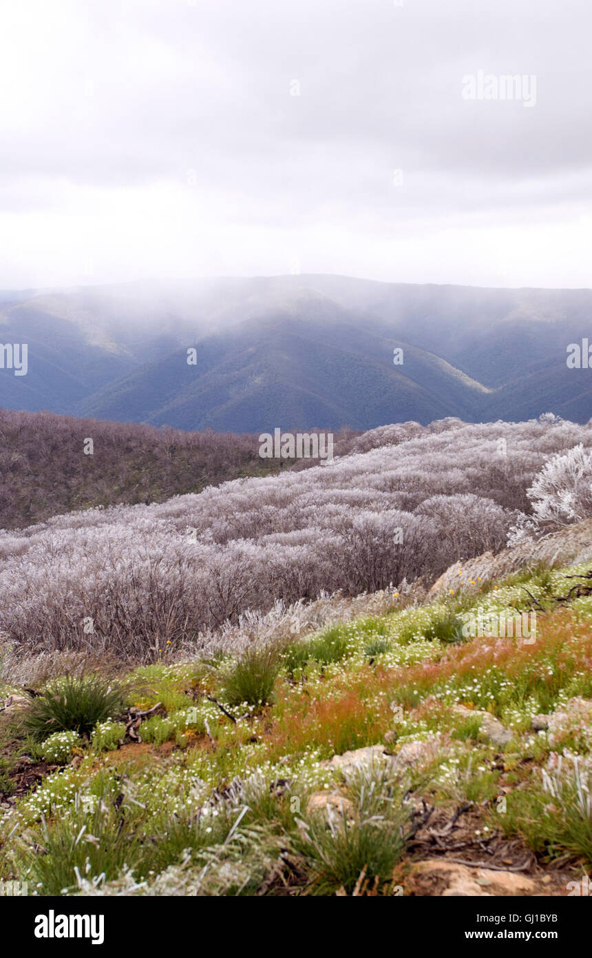 Australian alps wilderness hi-res stock photography and images - Alamy