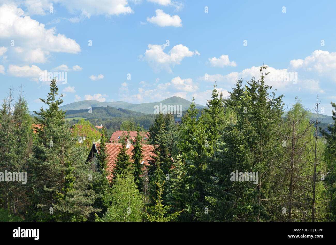 Panoramic view of ski center Tornik, the highest point of Zlatibor ...