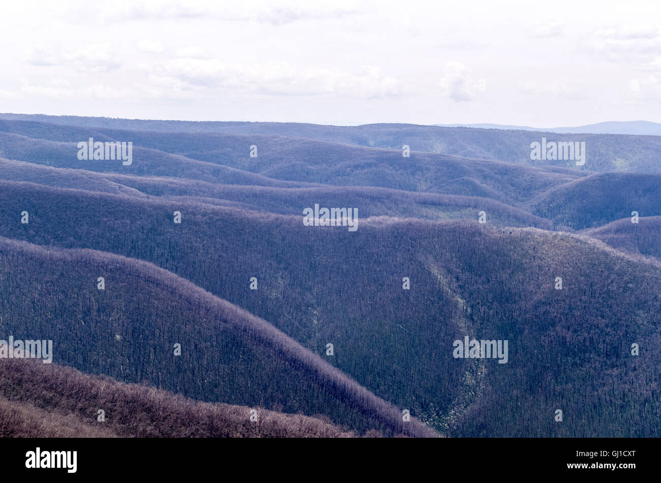 Australian high country,alpine,alps,burnt forrests Stock Photo - Alamy