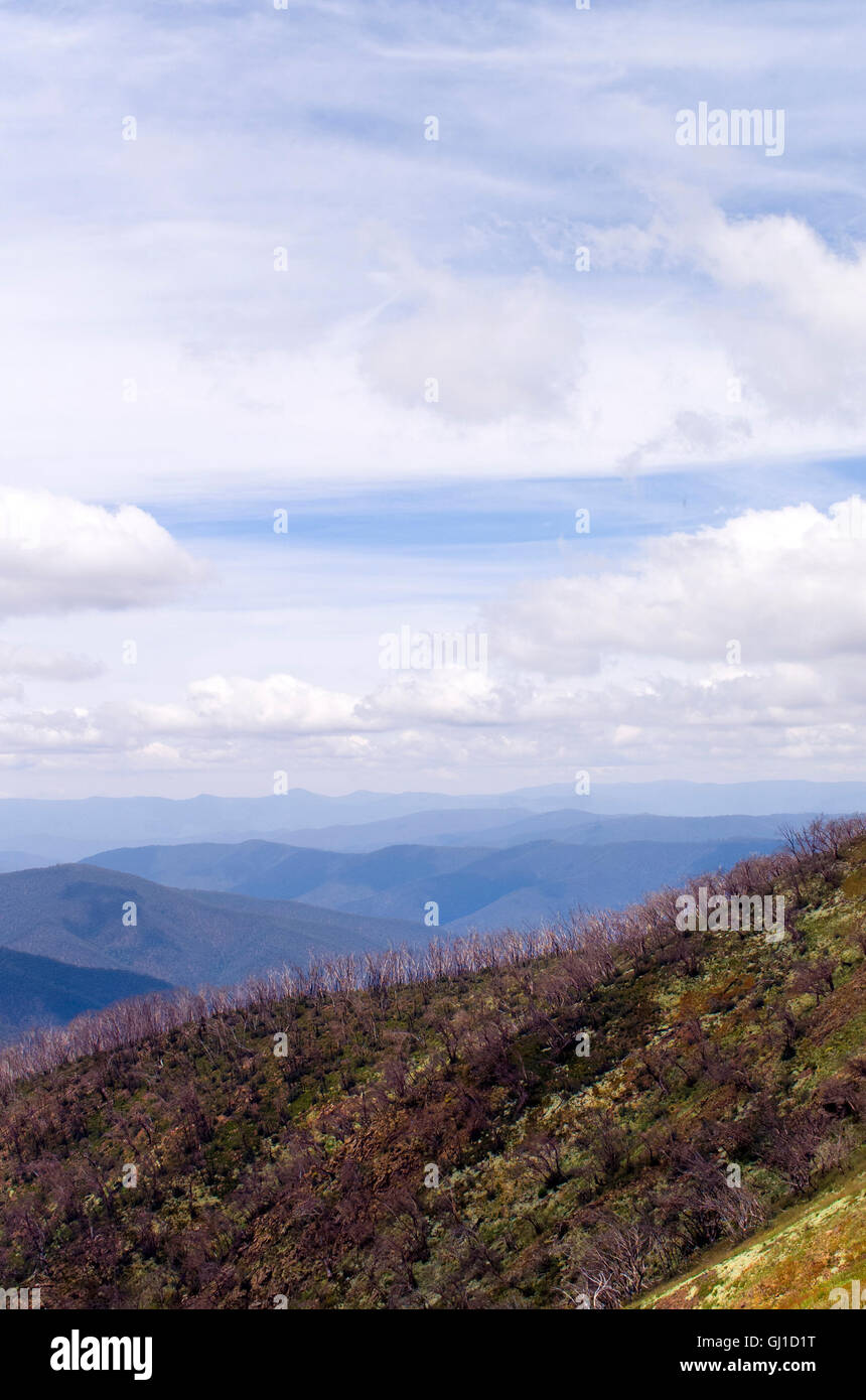 Australian high country,alpine,alps,burnt forrests Stock Photo - Alamy