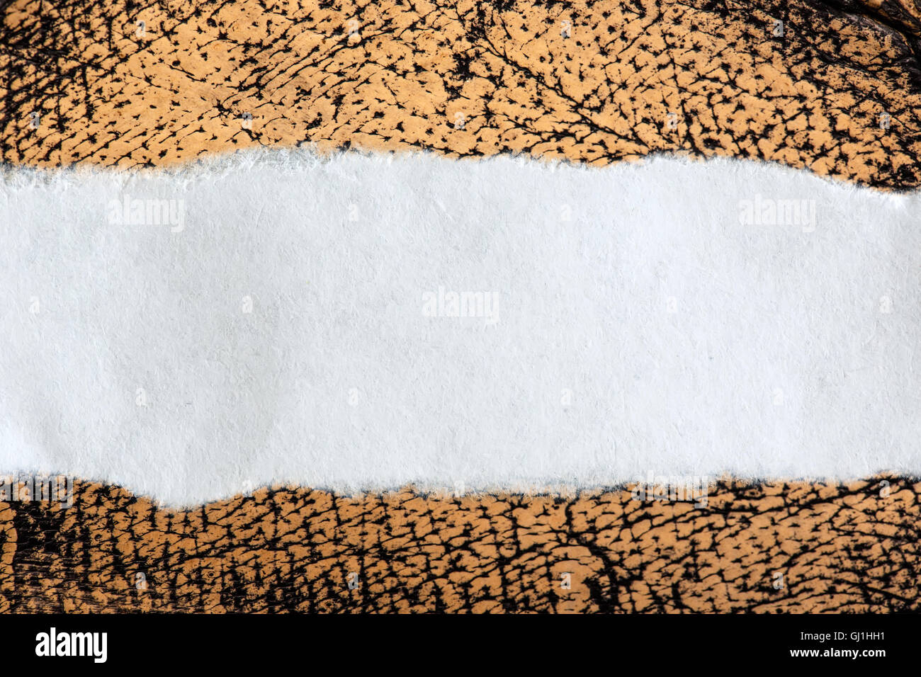 Ragged piece of paper on leather background Stock Photo - Alamy