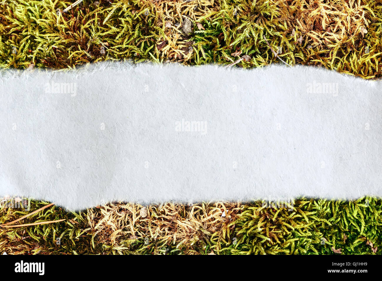 Ragged piece of paper on moss background Stock Photo - Alamy