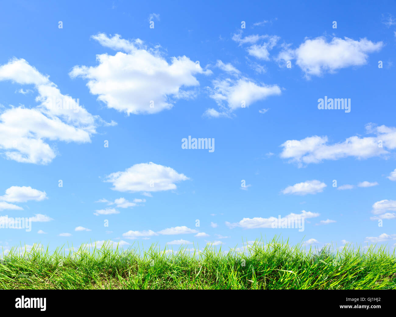 Blue cloudy sky with green grass scene Stock Photo - Alamy