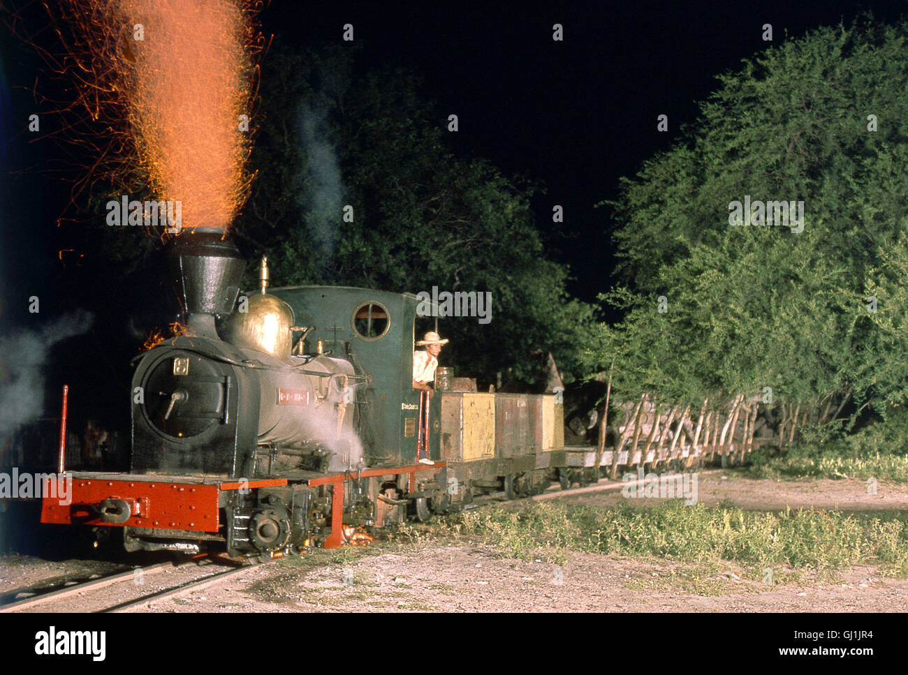 Don Carlos, a 2'6" gauge 2-8-2 well tank. built by Manning Wardle of ...