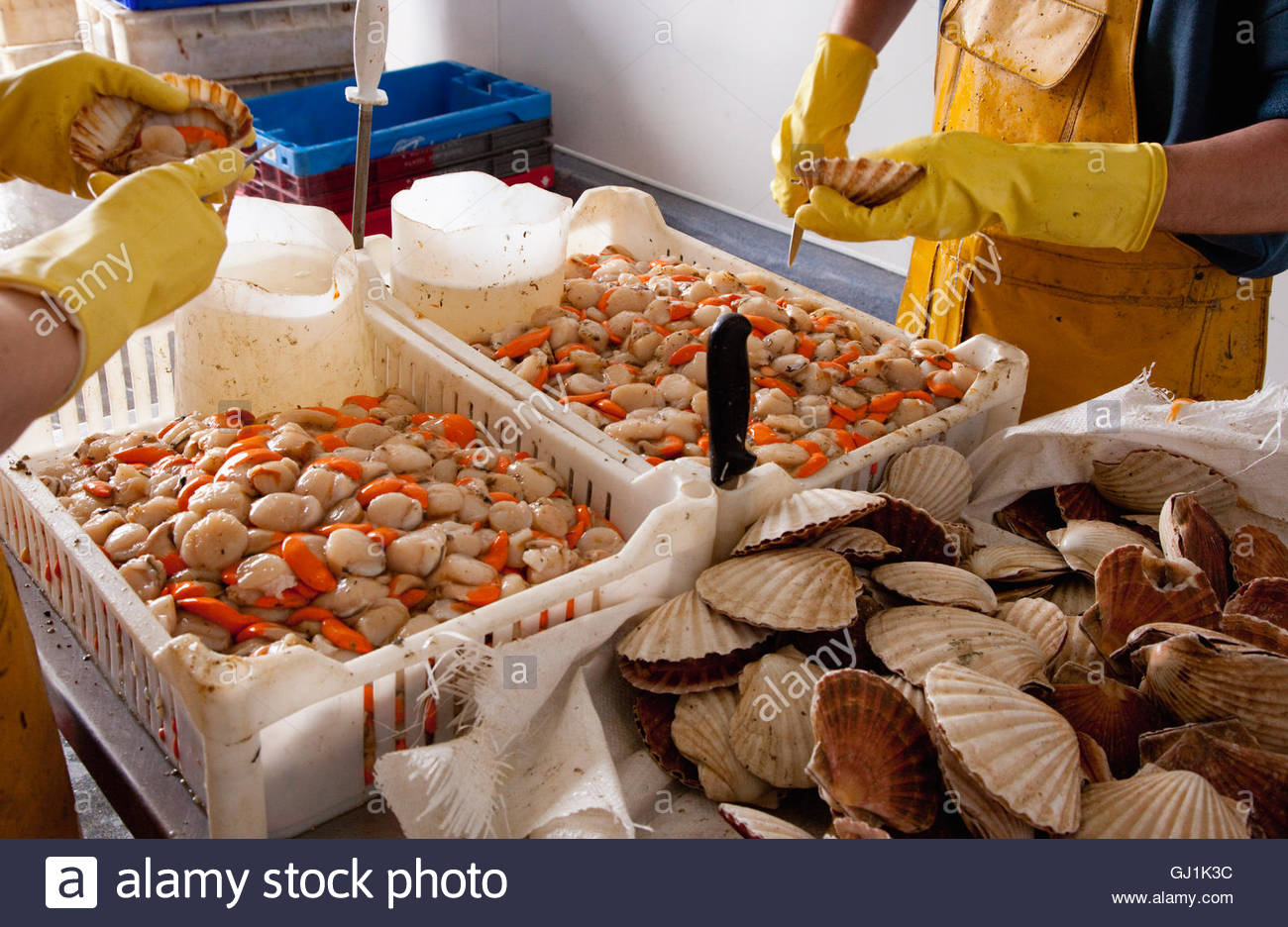 Seafood Scotland Island High Resolution Stock Photography and Images ...