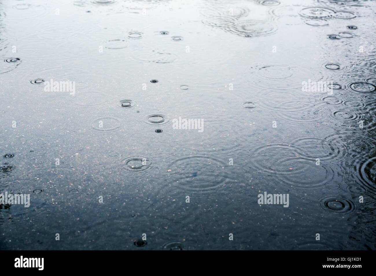 Rain puddles hi-res stock photography and images - Alamy