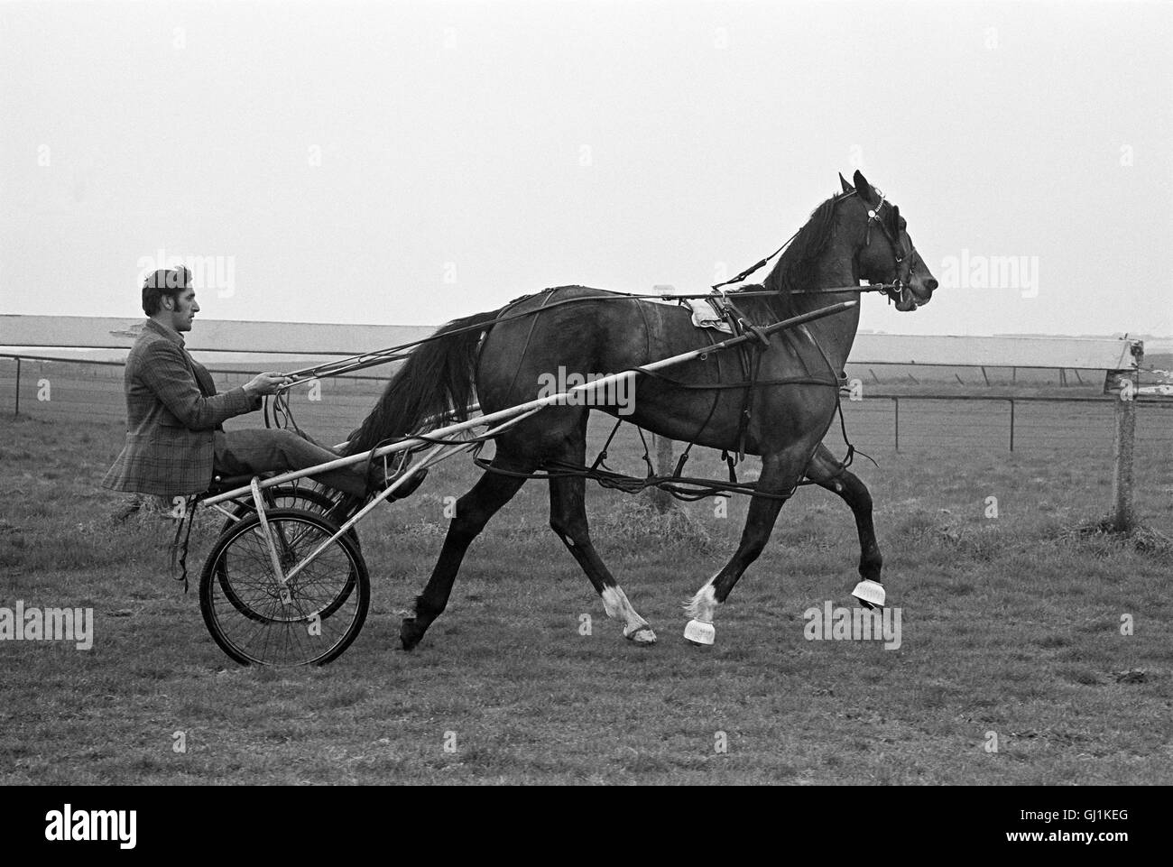 Trotting Horse and trainer, Bogside Racecourse, Irvine Ayrshire. 1973 ...