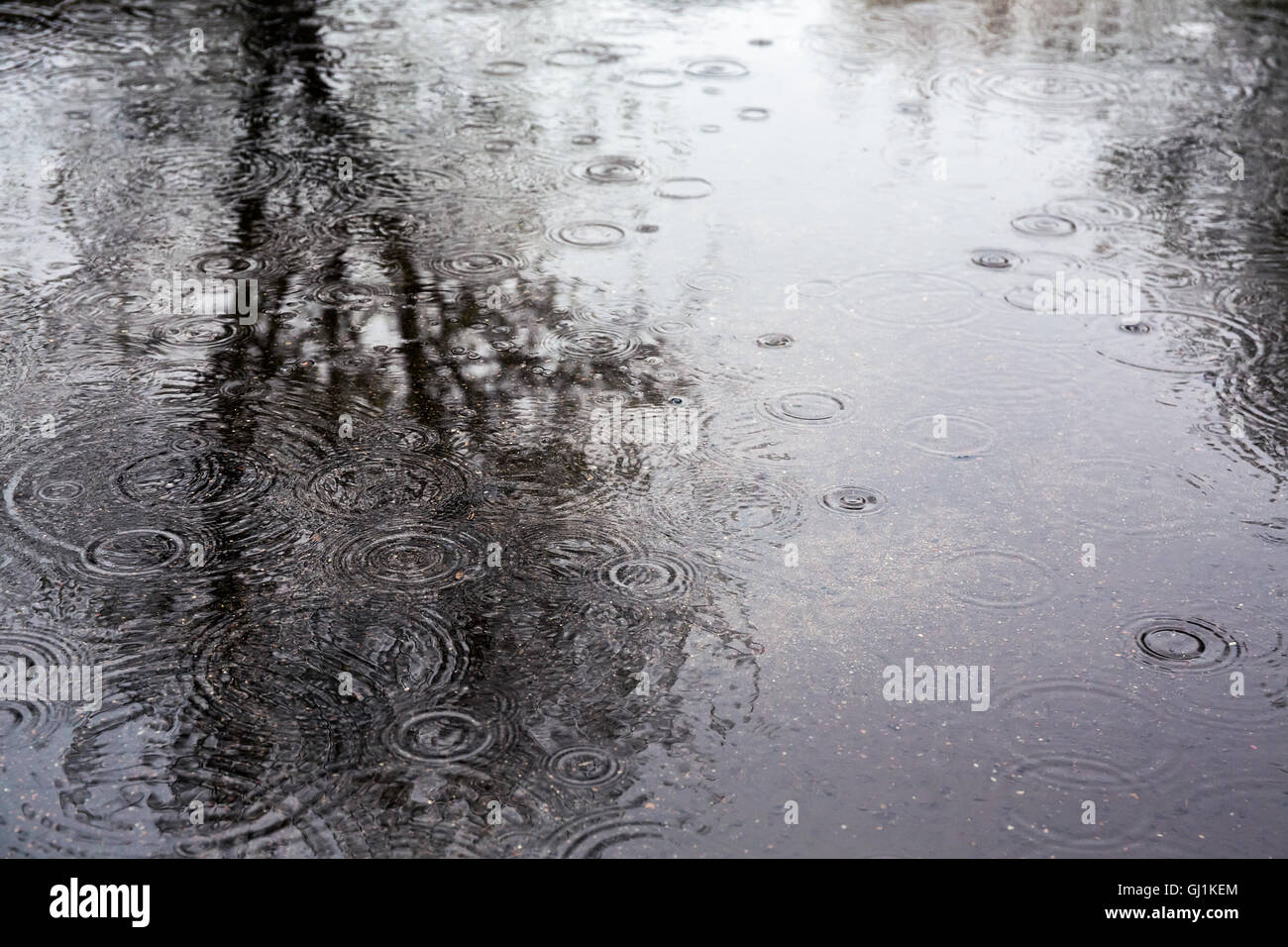 Puddle rain drops hi-res stock photography and images - Alamy