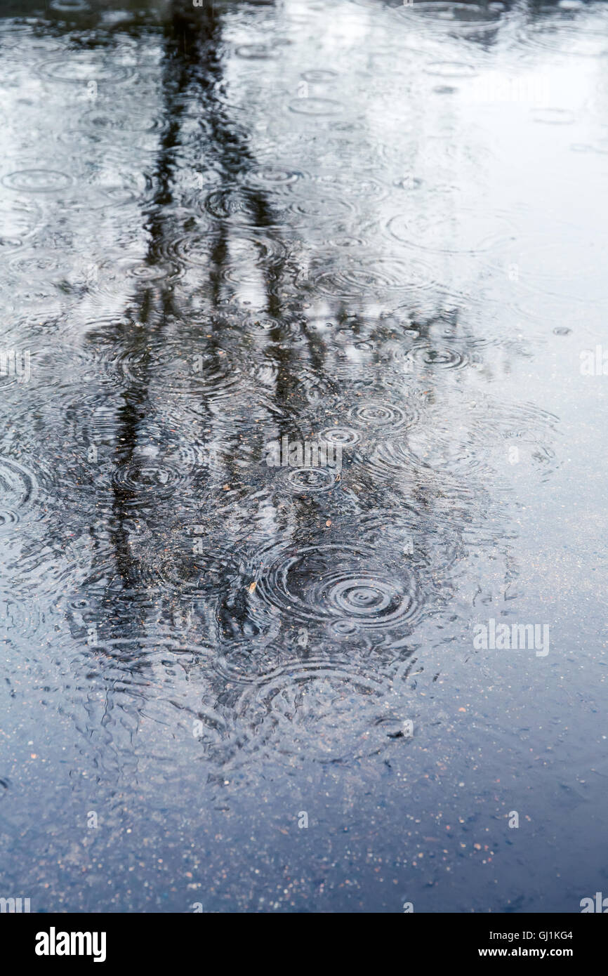 Tree are reflected in puddles during a rain Stock Photo - Alamy