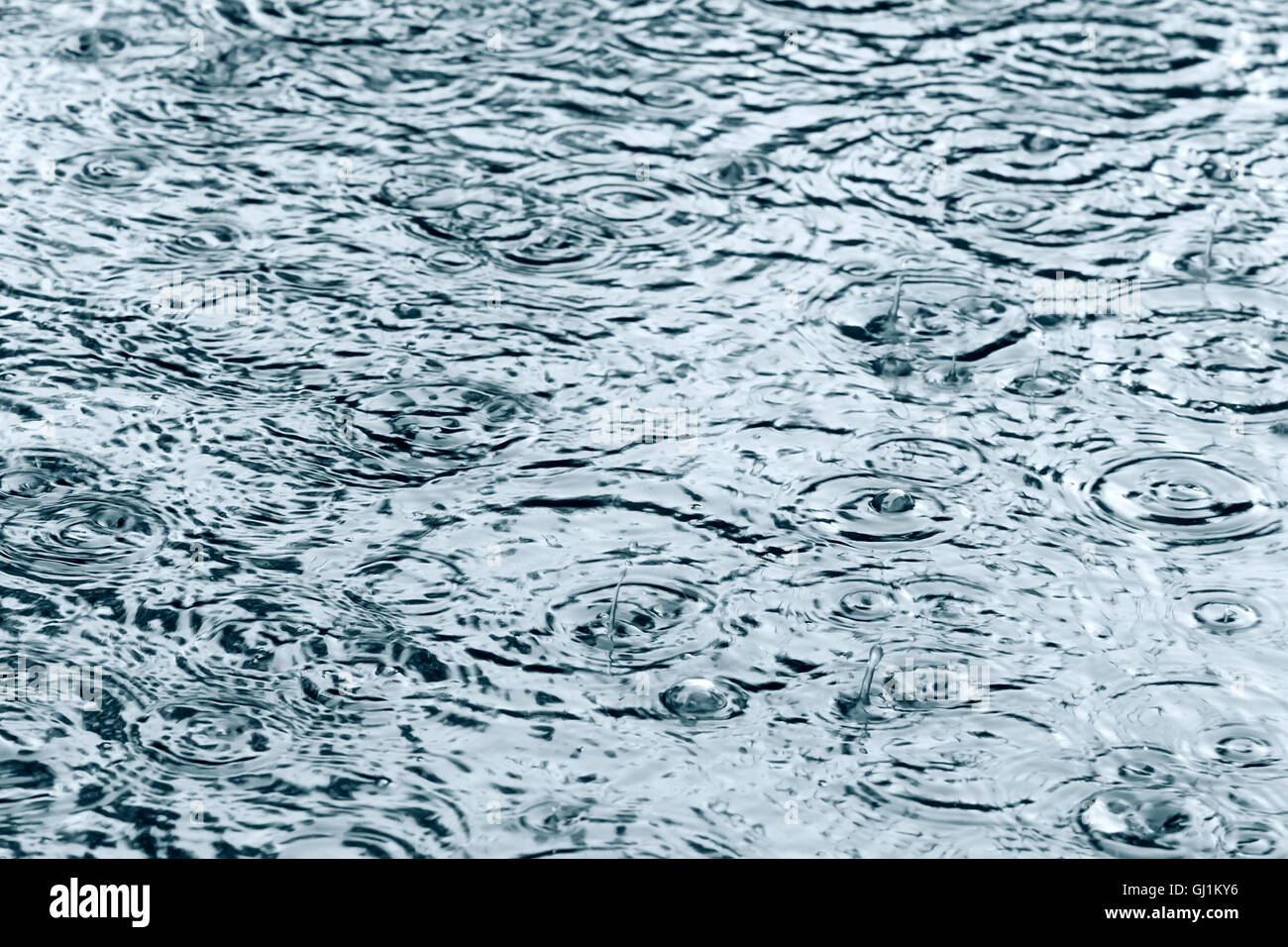Heavy raindrops falling into a puddle Stock Photo - Alamy